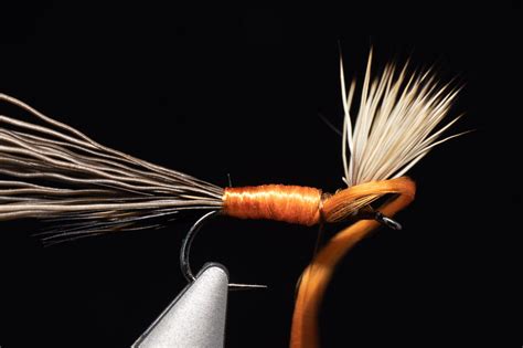 Trout Food Ahrex Hooks
