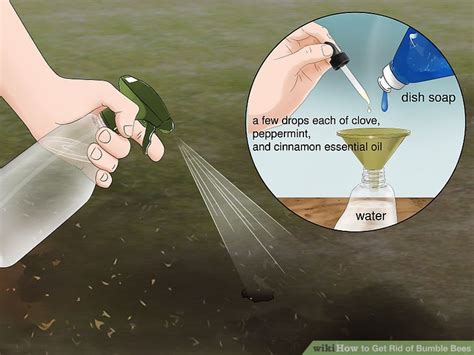 11 Ways To Get Rid Of Bumble Bees WikiHow