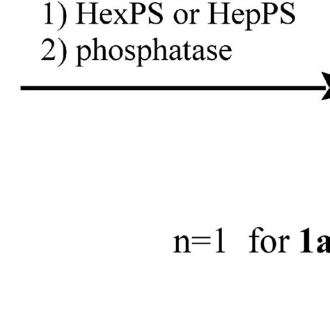 Scheme 1 Medium Chain Prenyl Diphosphate Synthases Reaction Download Scientific Diagram