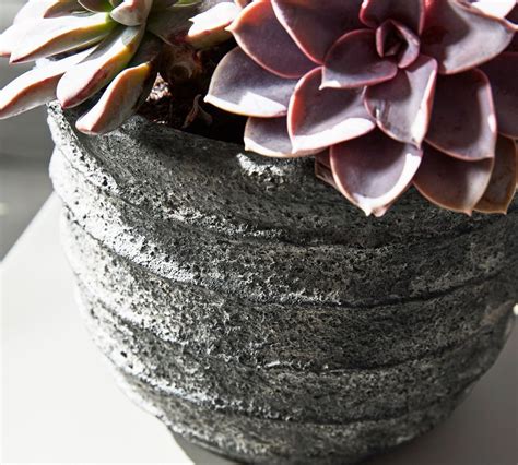 Artisan Hand Painted Terracotta Planters Pottery Barn