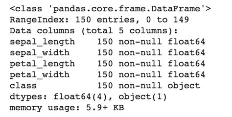 Neural Network Projects With Python Data Print