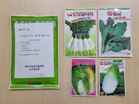 청주시 청주농업기술센터 우리 가족 김장채소 키워봐요 텃밭재배 기술교육 및 씨앗나눔