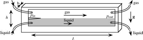 Figure 1 From Experimental Evidence Of A Nonlinear Transition From