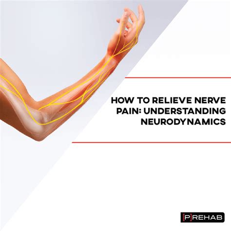 How To Relieve Nerve Pain Understanding Neurodynamics 𝗣 𝗥𝗲𝗵𝗮𝗯