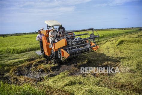 Jajaran Kementan Diminta Bekerja Keras, Kawal Program Optimalisasi ...