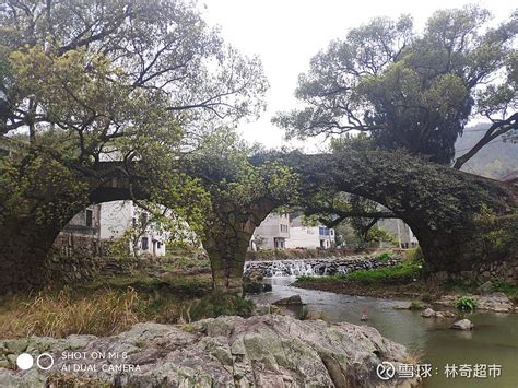 8月26日——又是失望的一周 又是失望的一周，好象每次到出报表期都萎了。中报游览下来，好看一点的，就新能源（主要集中在上游材料，锂，硅料）但