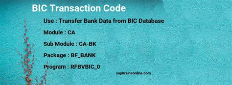 BIC SAP Tcode For Transfer Bank Data From BIC Database
