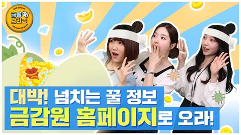 금융 쏙 브리핑 2화 대박 넘치는 꿀 정보🍭🍬 금감원 홈페이지로 오라 Youtube