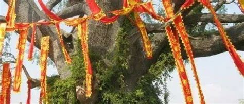 总第1616期郭进拴 黄河黄长江长长篇连载之五十八 大槐树 移民 洪洞