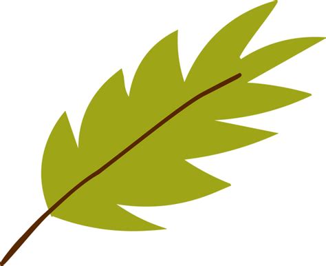 Leaf Svg Cut File Snap Click Supply Co