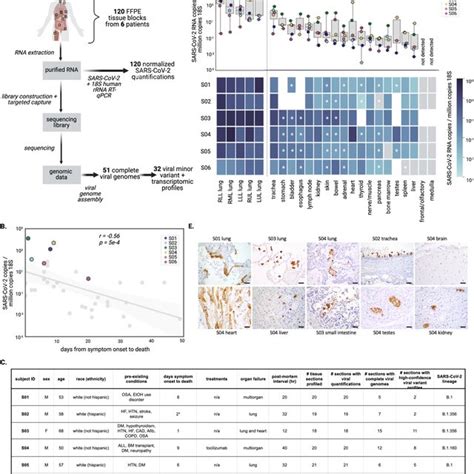 Refined Sequencing Methods And Robust Variant Calling Methodology