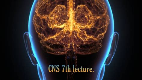 cns 7th lecture youtube