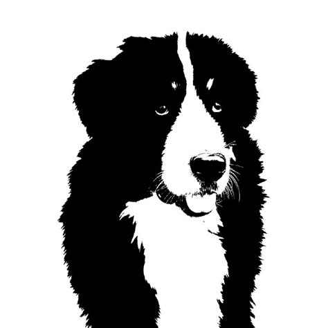 Шпаргалка по Opencv — Python