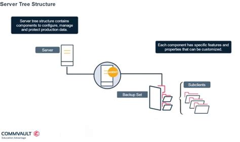Reza V On Linkedin Commvault Protection Commcell
