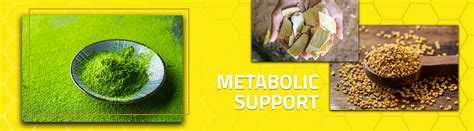 Metabolic Protocol