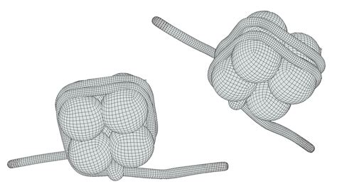 Structure Des Histones Modèle 3d
