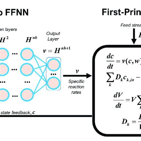 hybrid model structure of a cho k1 fed batch process download