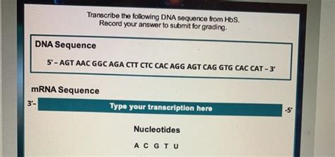 Solved Transcribe The Following Dna Sequence From Hbs