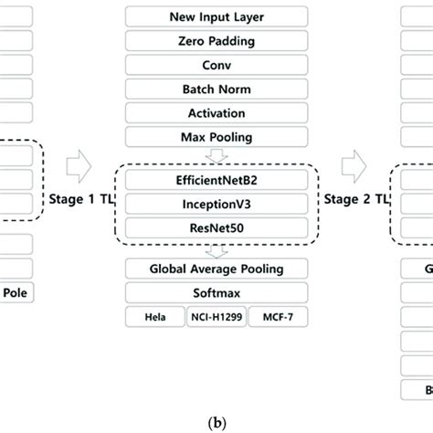 CNN Models At Each Stage Of Transfer Learning A Original ImageNet