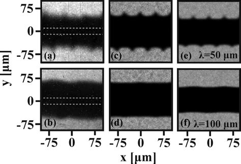 a and b Examples of experimental images taken at t 6 ns with λ