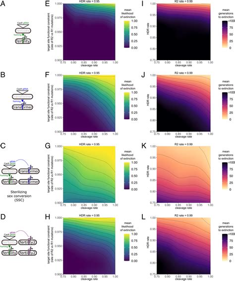 Model Of Sex Conversion Gene Drive Strategies A A Gene Drive Construct