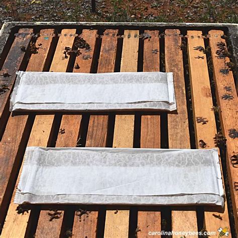 Formic Acid Treatment For Bees How To Use Carolina Honeybees