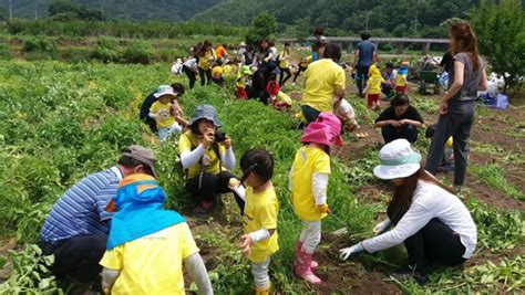 광양시 농촌체험휴양마을에서 촌스러운 힐링여행 시민의소리