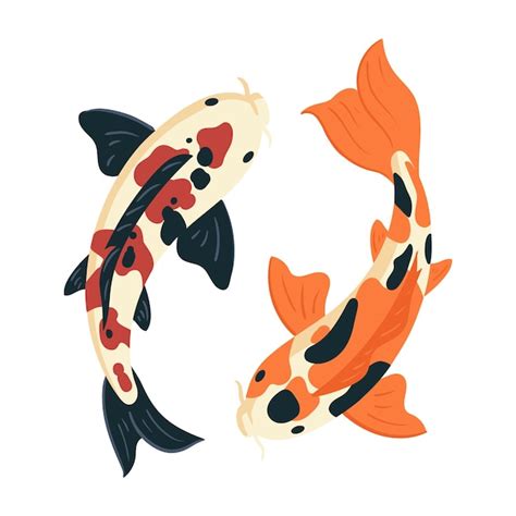 Premium Vector Koi Carp Fish Japanese Koi Carp Fish Cute Oriental
