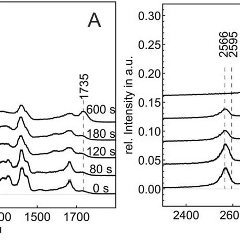Preprocessed Raman Spectra Averaged Over Different Sample Positions Of Download Scientific