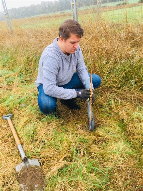 Tree Planting With Low Carbon Forest Of Hearts