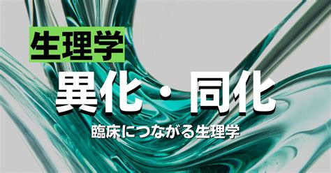 Tsudoi