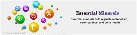 What Is Rich In Minerals At Erica Laforge Blog