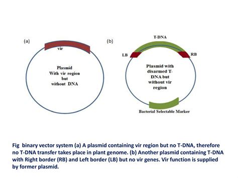 Icar Jrf Srf Net Ars Exam Ppt Download