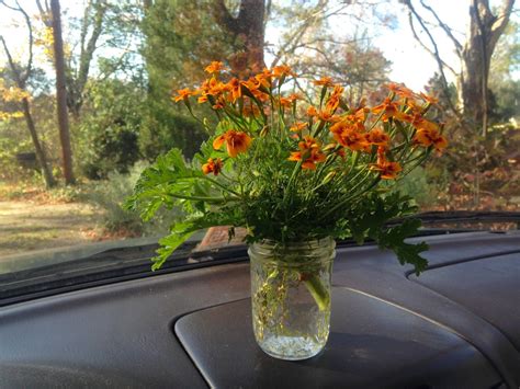 Windowsill Arranging Dashboard Flowers