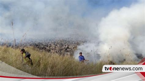 Bukit Teletubbies Gunung Bromo Terbakar Diduga Ulah Pengunjung