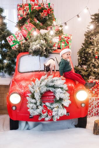 산타 클로스 모자를 쓴 어린 소년이 선물 상자 눈 소나무 화환 불빛의 화환으로 장식 된 미니 돼지와 빨간 자동차의 후드에 앉아