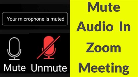 Mute And Unmute Icon