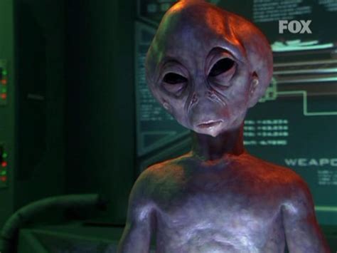 Asgard Stargate Wiki Fandom Powered By Wikia