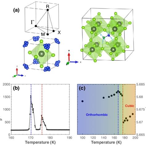 Brational Properties Of The Cubic Phase Of Mapbi3 A Phonon