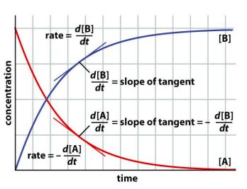 Week Kinetics Flashcards Quizlet