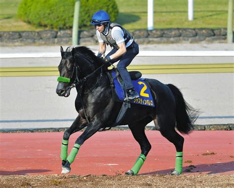 【宝塚記念】ルメール「4コーナーの手応えも良かった。ただ」2番人気のジャスティンパレスは馬場に泣き10着に敗れる：中日スポーツ・東京中日スポーツ