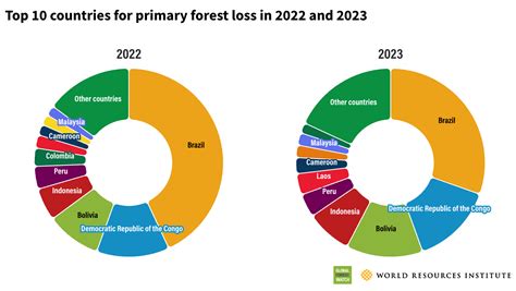 World Off Track To End Deforestation In 2030 Ecology And Jesuits In