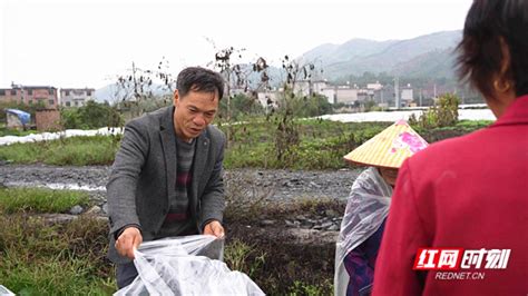宜章县：农技人员深入田间 指导村民农业生产腾讯新闻