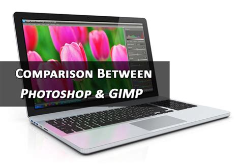 Difference Between Feather And Anti Alias In Photoshop