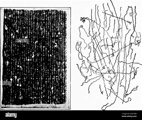 Poor Quality Of Materials Black And White Stock Photos Images Alamy