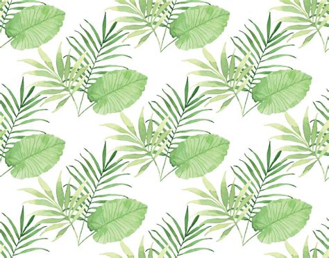 Tree Leaves Pattern 71 Photo