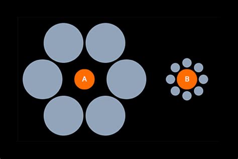 What Is A Cognitive Bias Cognitive Bias Solutions