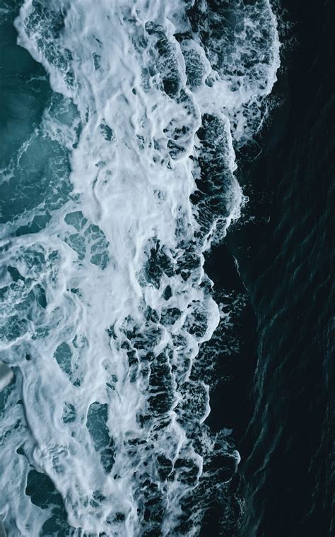 machine learning basics i look for in data scientist interviews