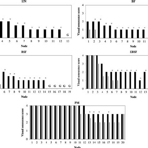 Sgr1 And Sgr2 Overexpression Rescues Abi3 6 Stay Green Embryo