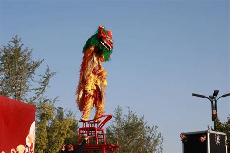 传统味儿、文艺味儿满满，走进洛龙这里→澎湃号·政务澎湃新闻 The Paper